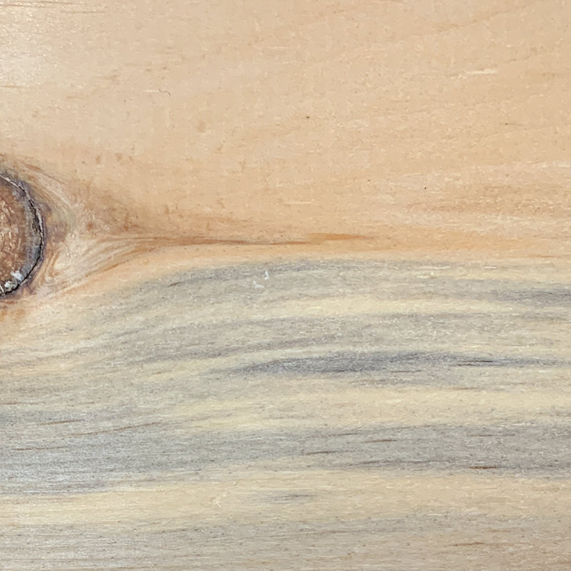 Wilson Enterprises, Inc. Wilson 4" Blue Pine Tongue and Groove (32 sq ft) | Wayfair